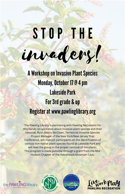 Pawling Recreation: Stop the Invaders!